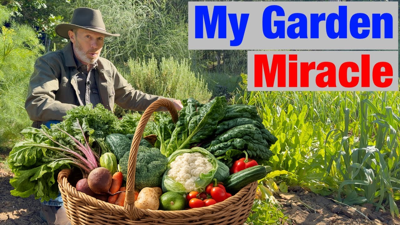 I Stopped Watering My Garden 100° Heat, No Rain - Here's What Happened