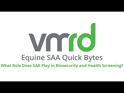 What Role Does Serum Amyloid A (SAA) Play in Biosecurity and Health Screening?