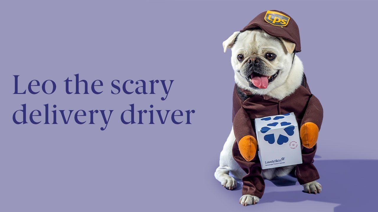 Leo the scary pug delivery driver | LovelySkin
