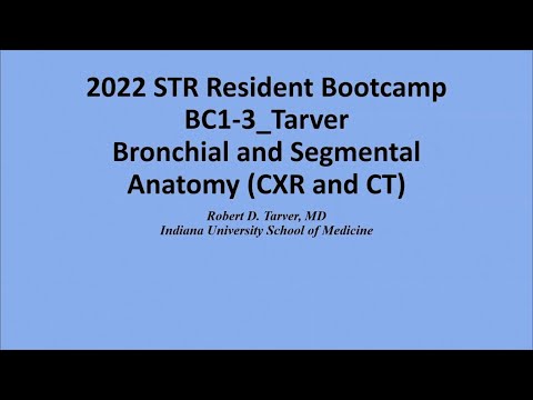 CXR: Bronchial and Segmental Anatomy (CXR and CT)