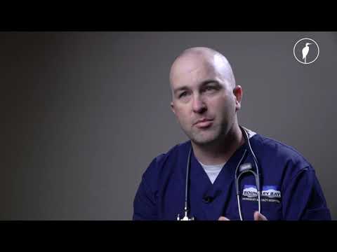 Meet Dr. Mark Harmon | veterinary cardiologist