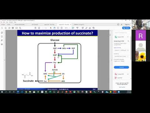 05 Intro to FBA | Flux Balance Analysis | Lecture 11 | Metabolic Engineering | SP20