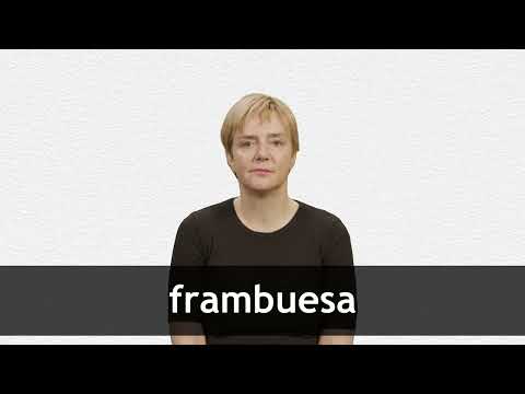 Traducción en inglés de “FRAMBUESA” | Collins Diccionario español-inglés
