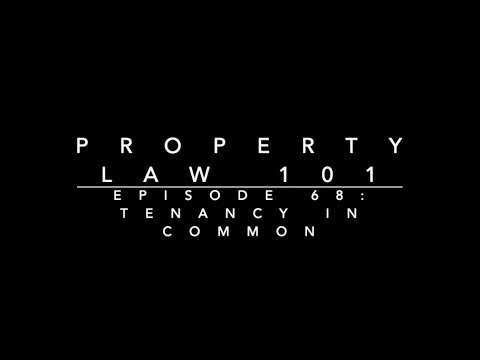 Tenancy in Common: Property Law 101 #68