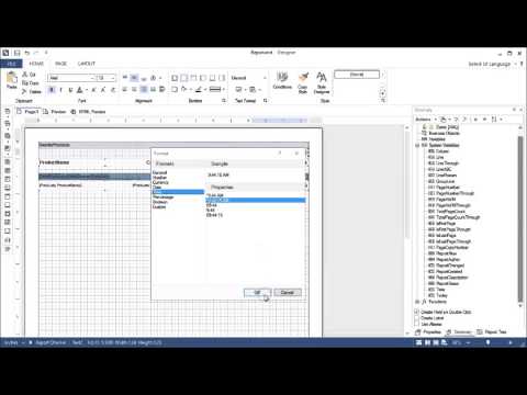 Reporting Tool: Using Time Text Format - Stimulsoft Reports - [Shot on version 2015.3]
