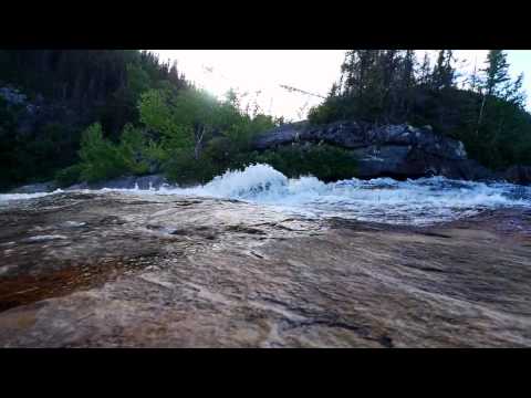 Joséphine Bacon, poétesse innue – Ma langue est importante car elle est ...
