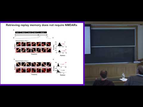 David Foster: Neuronal sequences in the hippocampus for memory and imagination