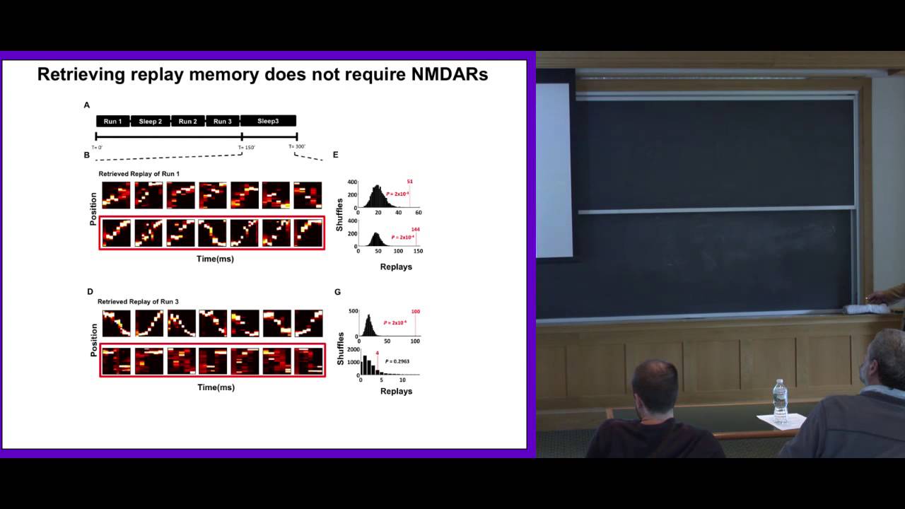 David Foster: Neuronal sequences in the hippocampus for memory and imagination