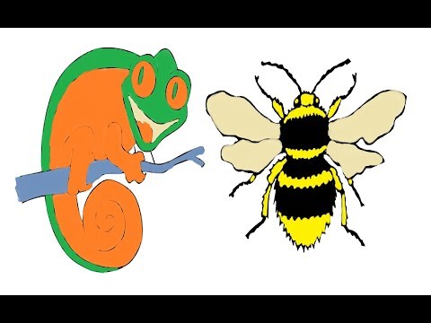 Coloring Pages for Kids | Shapes Worksheets for Preschool | Painting Bee and Chameleon