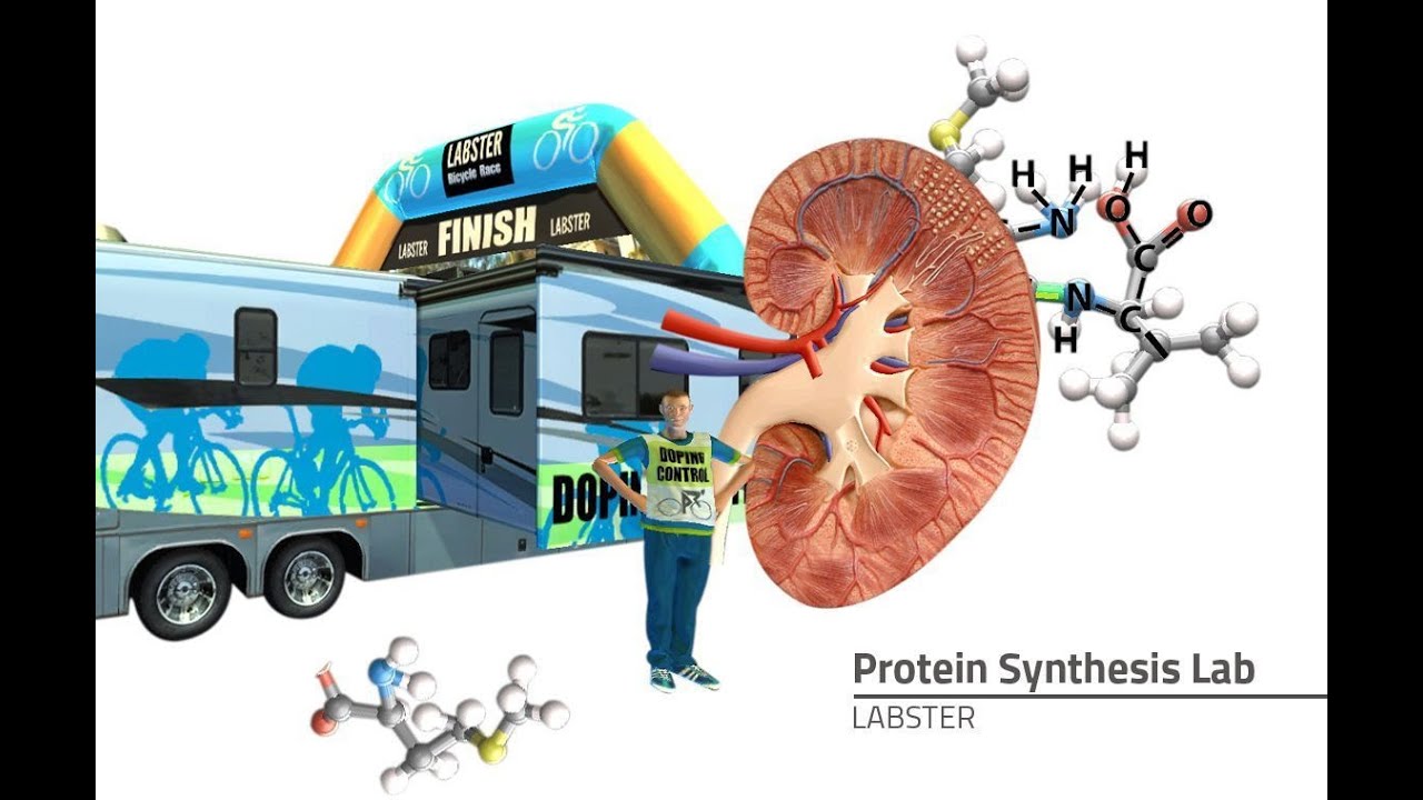 Labster Virtual Lab: Protein Synthesis Simulation
