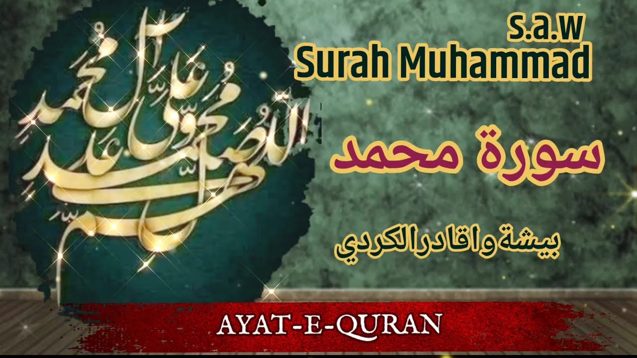 Surah Muhammad s a w full Beautiful Recitation سورہ محمد AYAT E