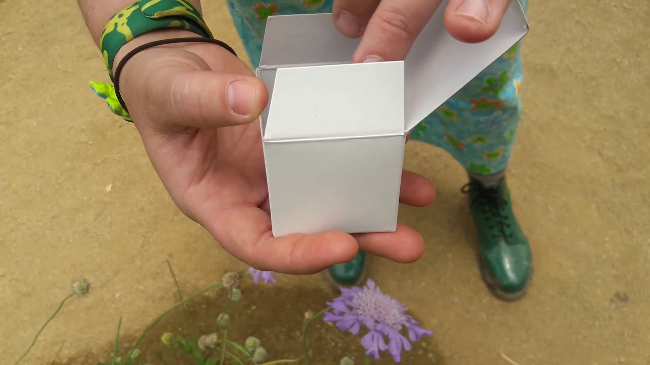 Butterfly Release Training Video