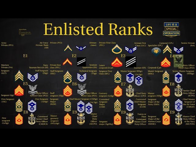 Understanding the Enlisted Ranks of the US Military | Galaxy.ai