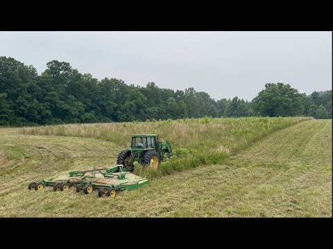 Mowing 40 overgrown acres with the John Deere HX20 flexwing bush hog