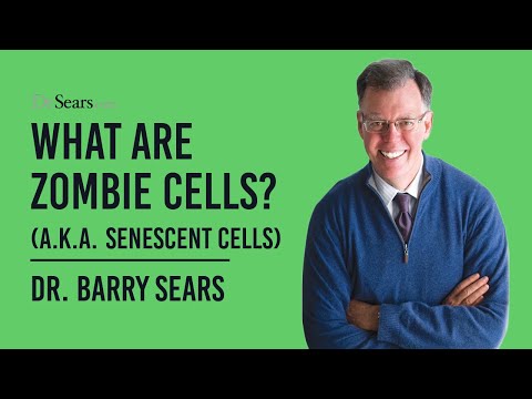 What are Zombie Cells (a.k.a. Senescent Cells)?