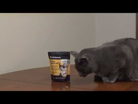 Lysine Supplement For Cats - Healthy Cat Treat