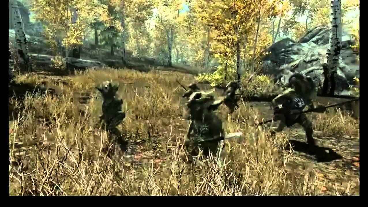 Bethesda Softworks The Elder Scrolls V: Skyrim 