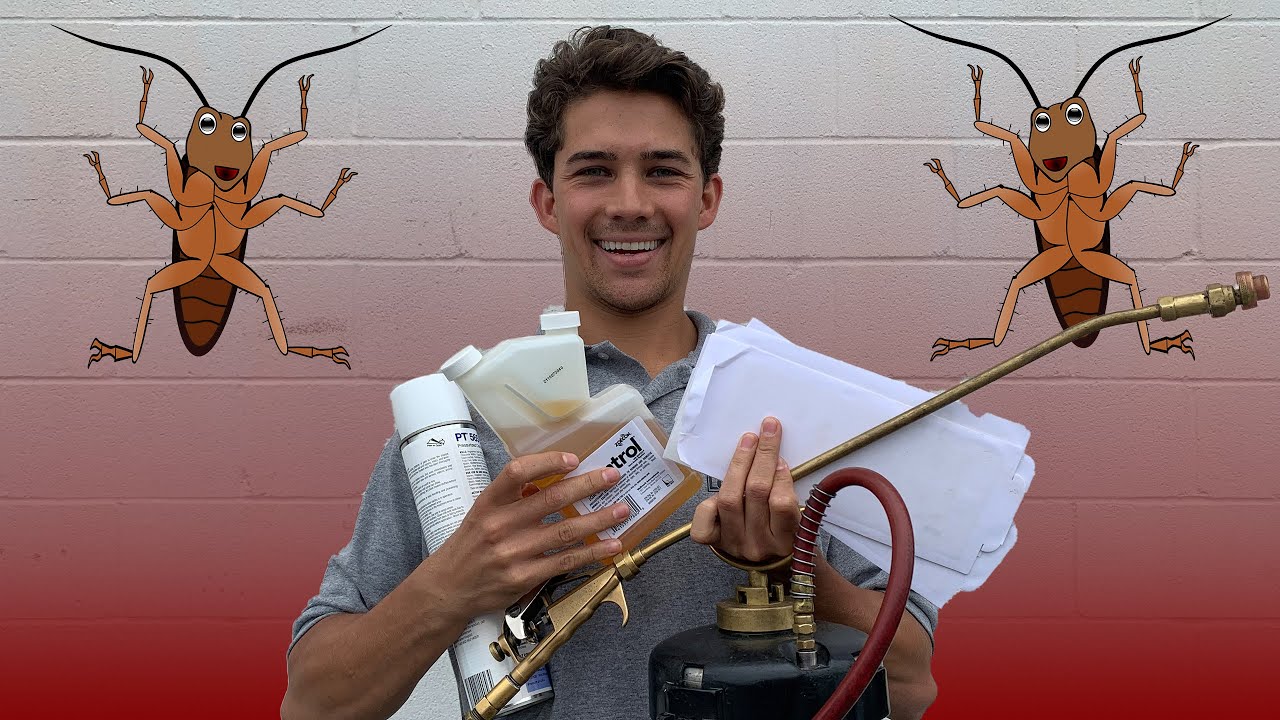 How a Professional Treats a Cockroach Infestation