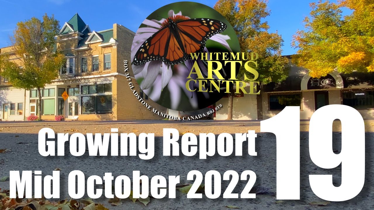 WAC Growing Report #19 Mid oct 2022