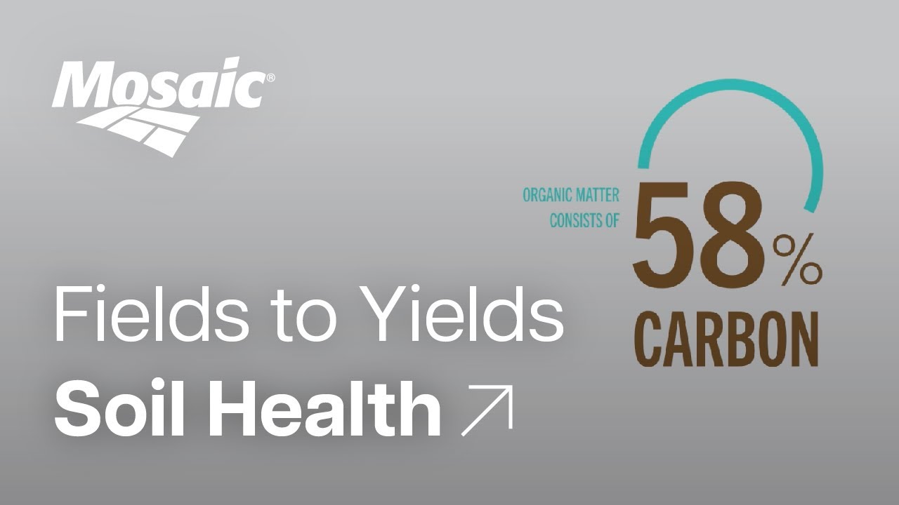 Fields to Yields | Soil Health