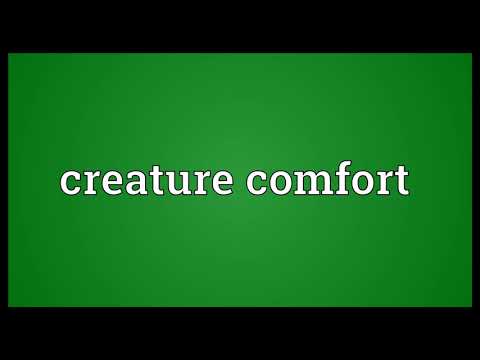 Creature comfort Meaning