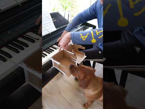 Ruby Plays Piano