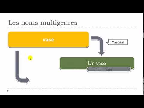 French for kids #Mots avec deux genres # vase