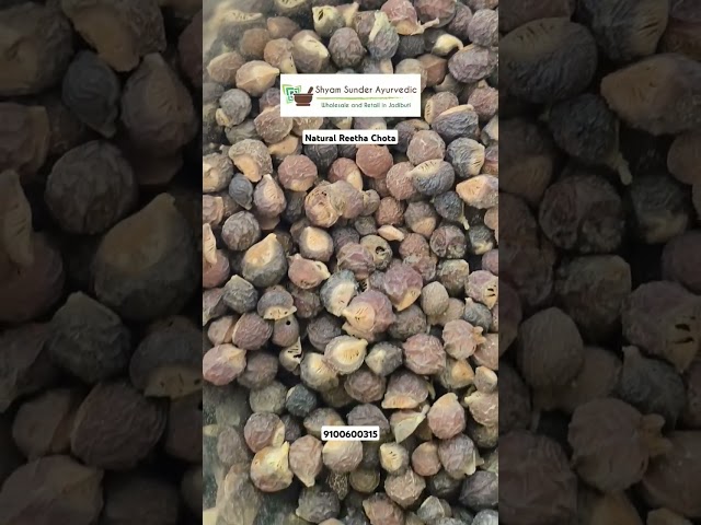 Soapnut - Kunkudukai Reetha Soapnut Trader - Wholesaler / Distributor ...