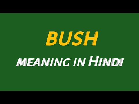 bush meaning in Hindi || bush ka matlab kya hota hai || #bush #ssc