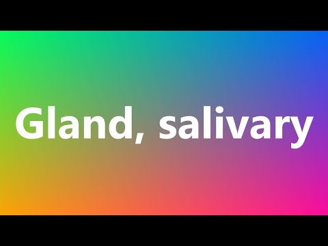 Gland, salivary - Medical Definition and Pronunciation
