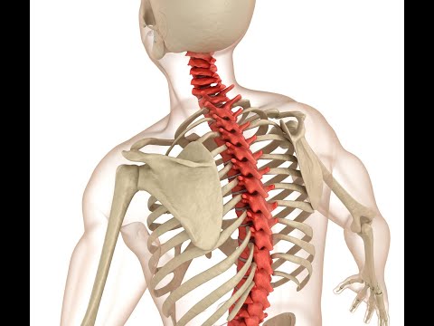 Arthrodesis Shoulder CPT code - simplify medical coding