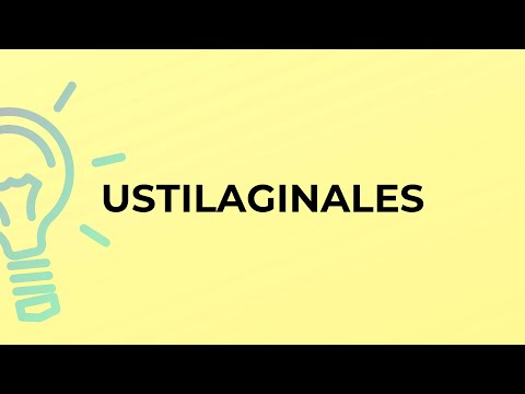 What is the meaning of the word USTILAGINALES?