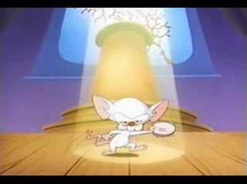 pinky and the brain-brainstem