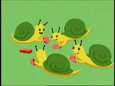 Oswald: The Tomato Garden - Has/Have…: English ESL video lessons