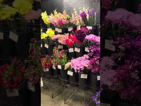 McNamara Florist Cooler Tour