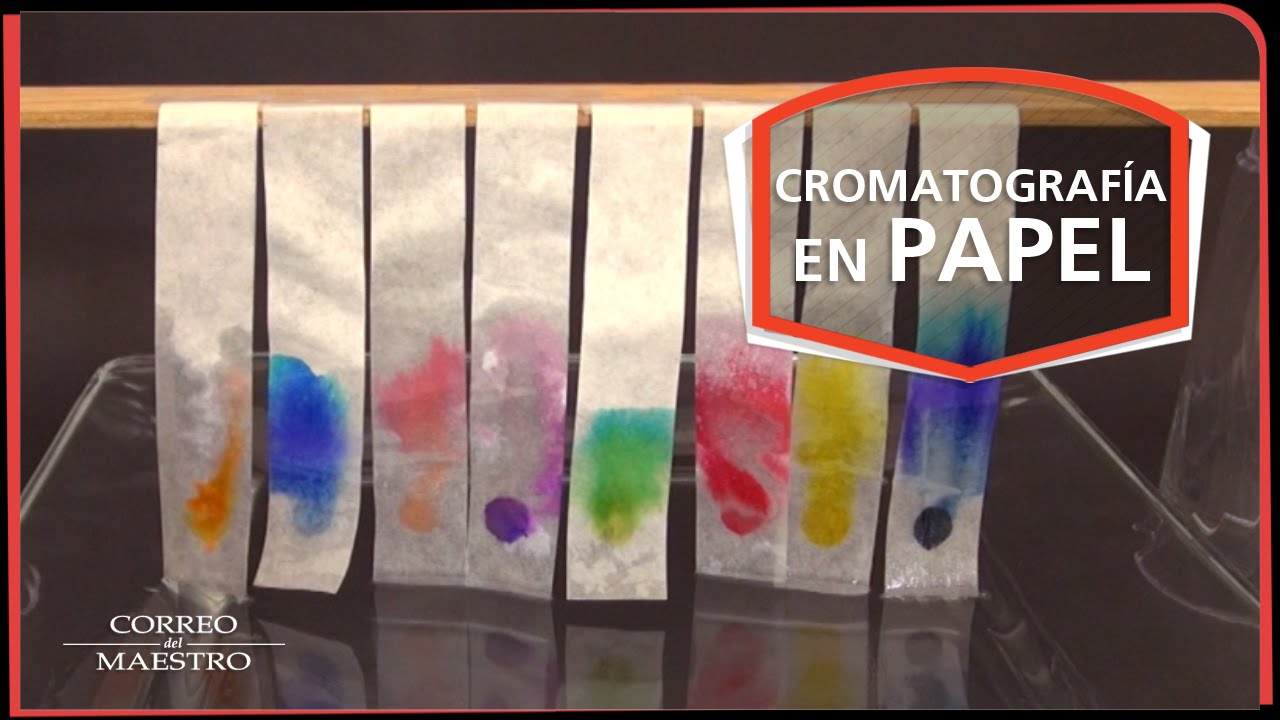 Cromatografía en papel