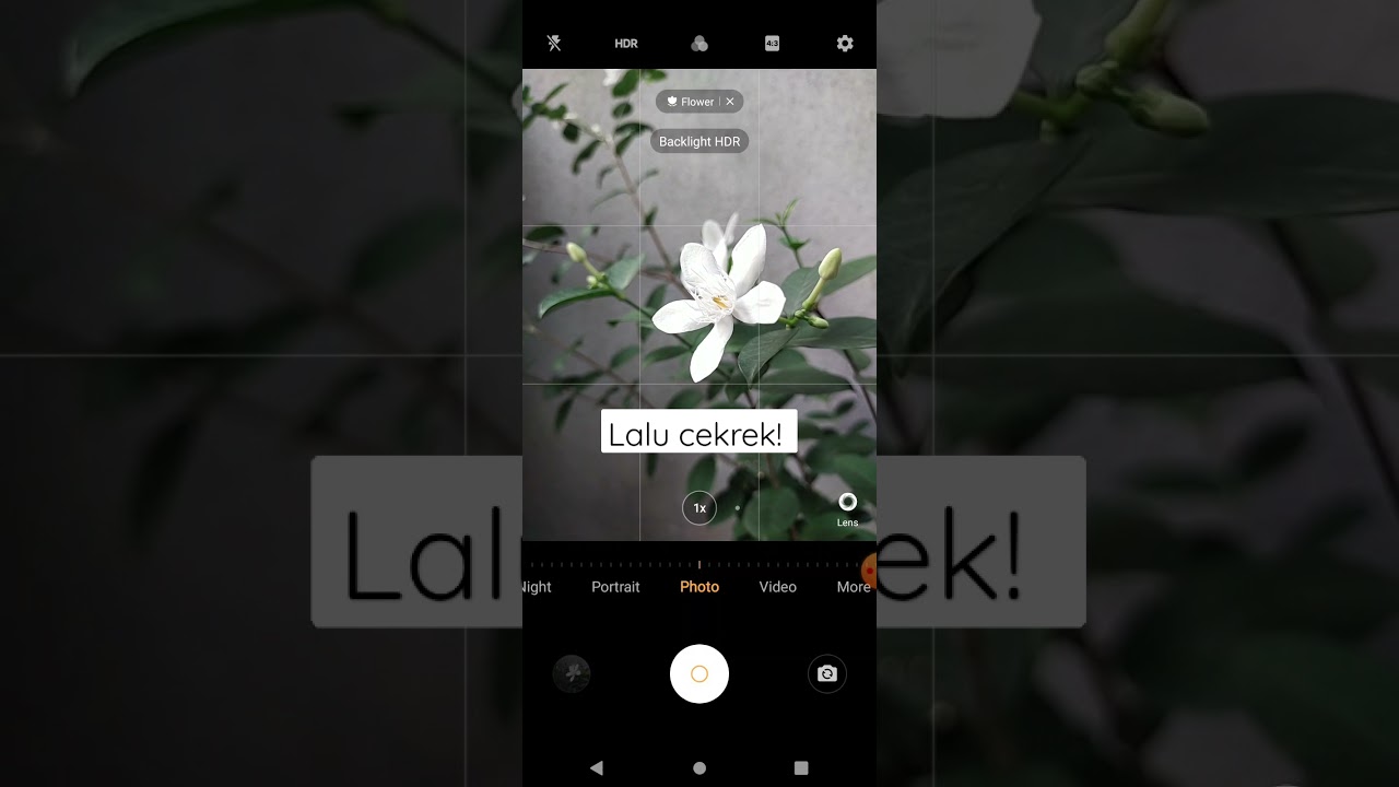 Tutorial Foto Bunga pake Hape Vivo V20 #tutorial #short #aesthetic #tipsphotography