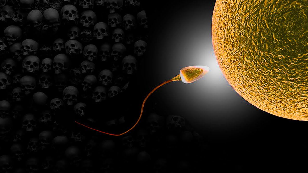 La carrera de la vida | Mini Documental