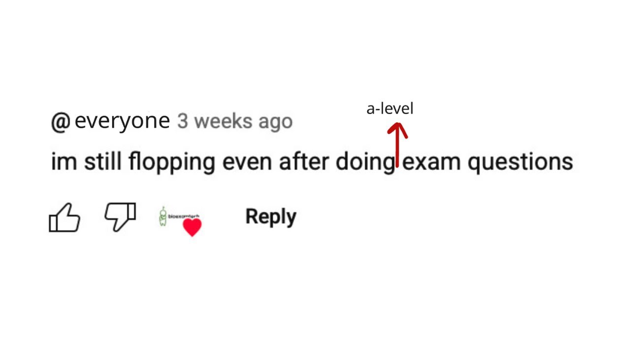 (1) let's sort this issue out rn (from a 3A* student)