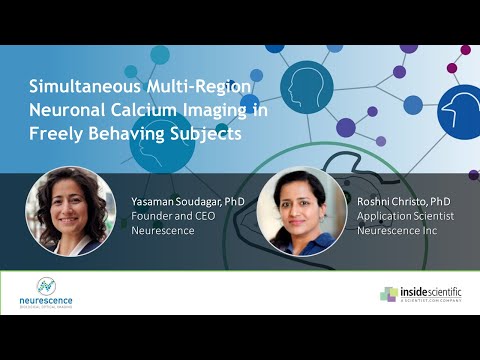 Simultaneous Multi-Region Neuronal Calcium Imaging in Freely Behaving Subjects