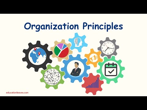 Understanding Principles of Organization Video Lecture - CMAT Mock Test ...