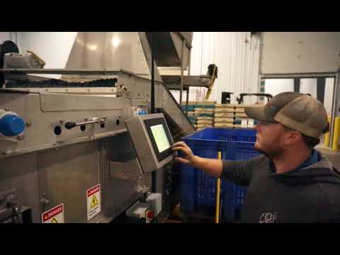 WECO Reorientating BerryTek & Impulse Sorters - Service Technician in Action