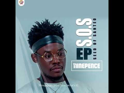 Ninepence - Mini Sane (What’s it) Audio Slide