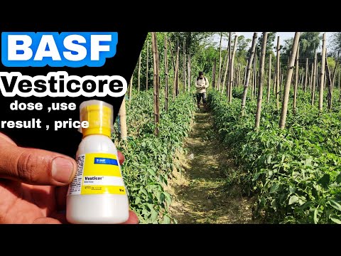 BASF Insecticides - Latest Price, Dealers & Retailers in India