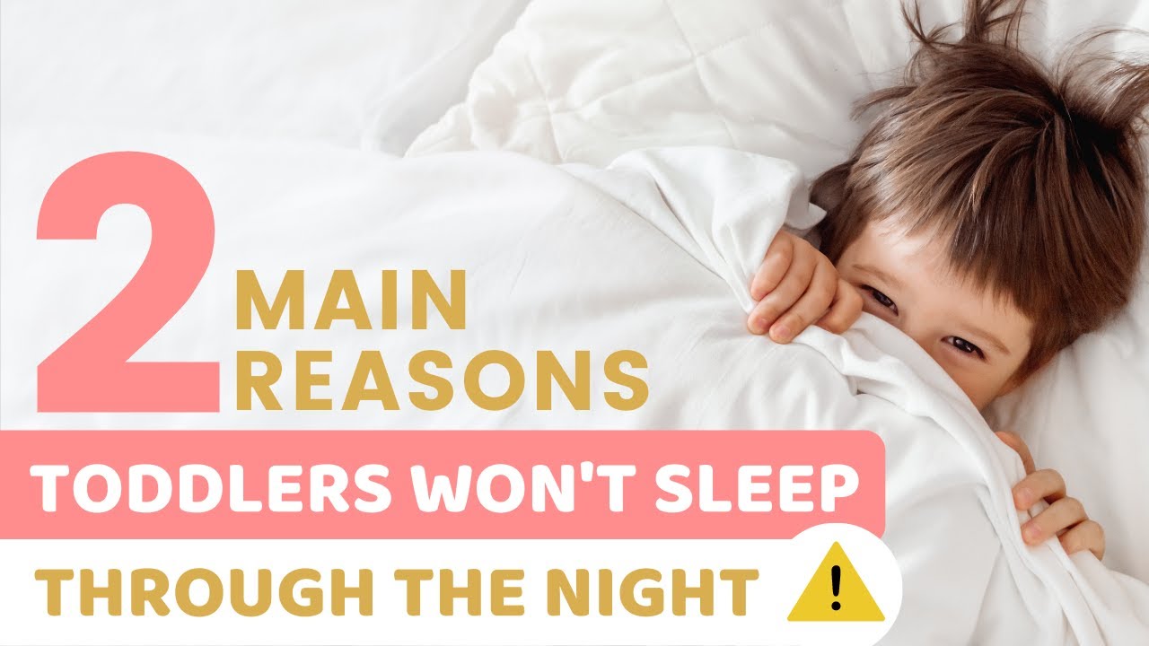 Why Your Toddler Won't Sleep Through The Night?