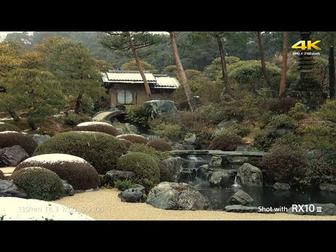 RX10 III - Pro-grade precise 4K movie | Cyber-shot | Sony