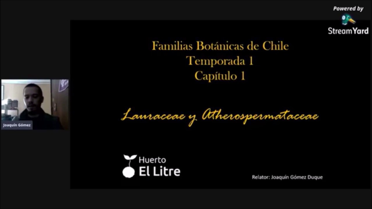 Familias botánica de Chile | Capítulo 1