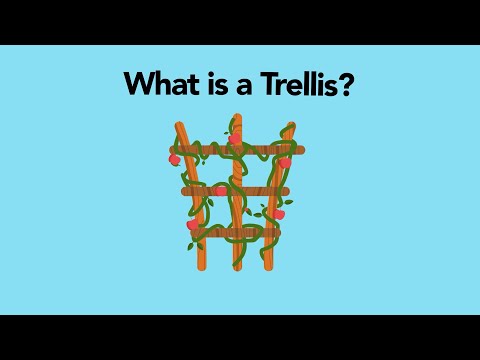 What is a Trellis?