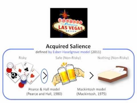 Tracking Acquired Salience