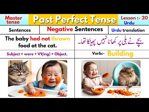 Past Perfect Tense Negative Sentences – Rules, Examples, and Urdu Meanings | tense lesson 20